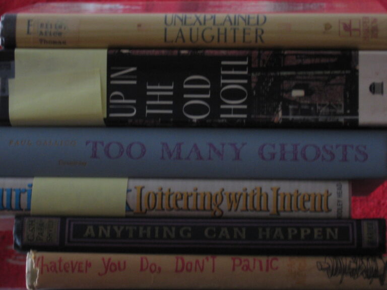 2011 Book Spine Poem Gallery
