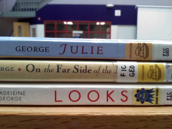2011 Book Spine Poem Gallery