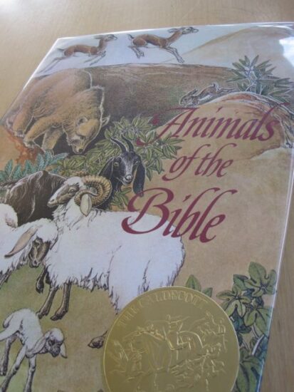 The Caldecott Challenge (Part I)