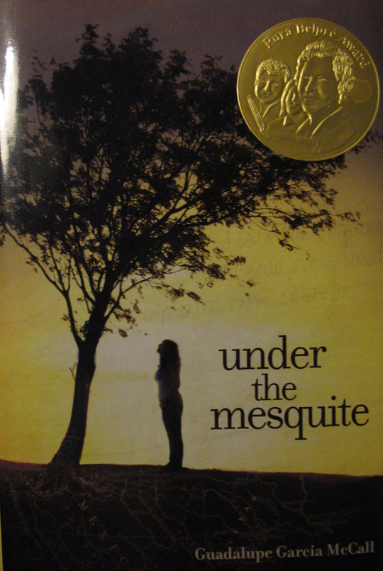 Cover Curiosity: On Balki and Book Covers