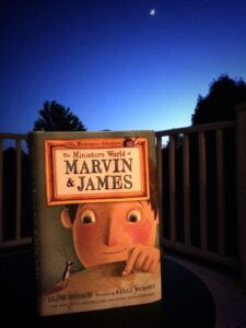 Review: The Miniature World of Marvin and James by Elise Broach