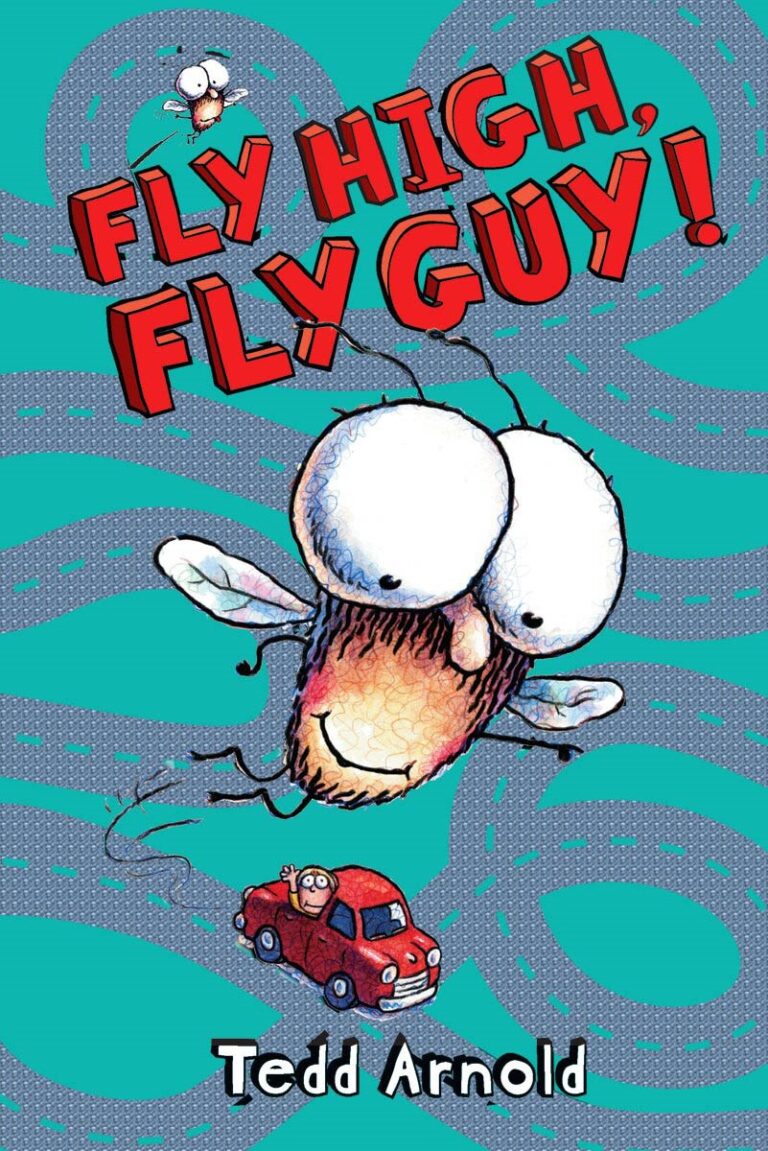 Children’s Lit Commish: Bye Bye Fly Guy