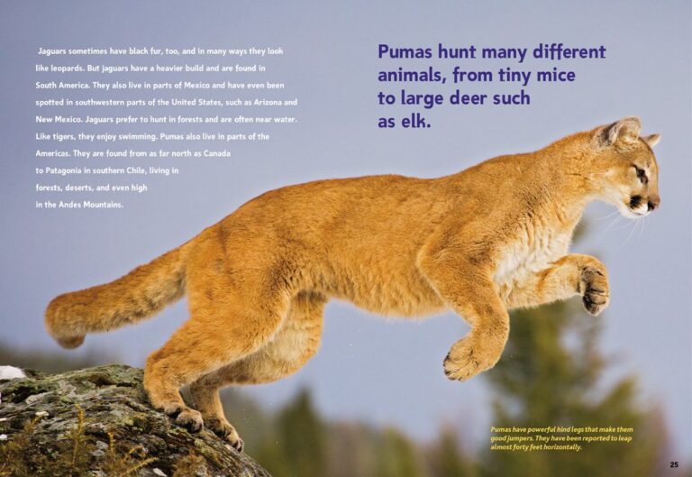 2019 Books from Sibert Award Winners