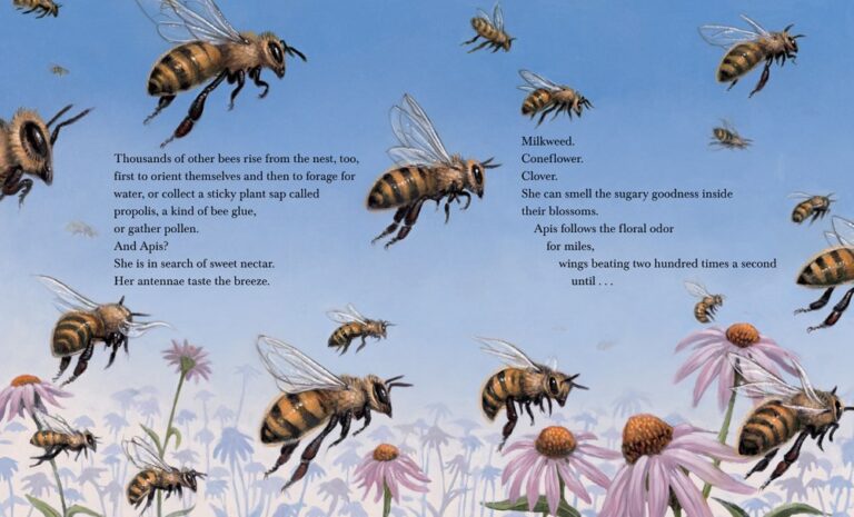 Top 20 Books of 2020: 20-16