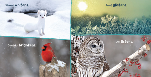 4 Snow-Themed Books You’ll Want to Have When the Flakes Start Flying