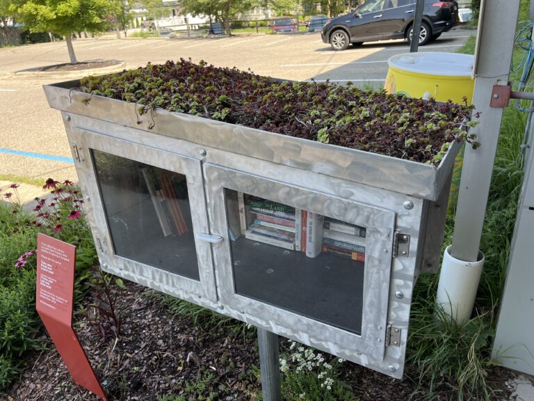 2023 Children’s Lit: The Year in Miscellanea