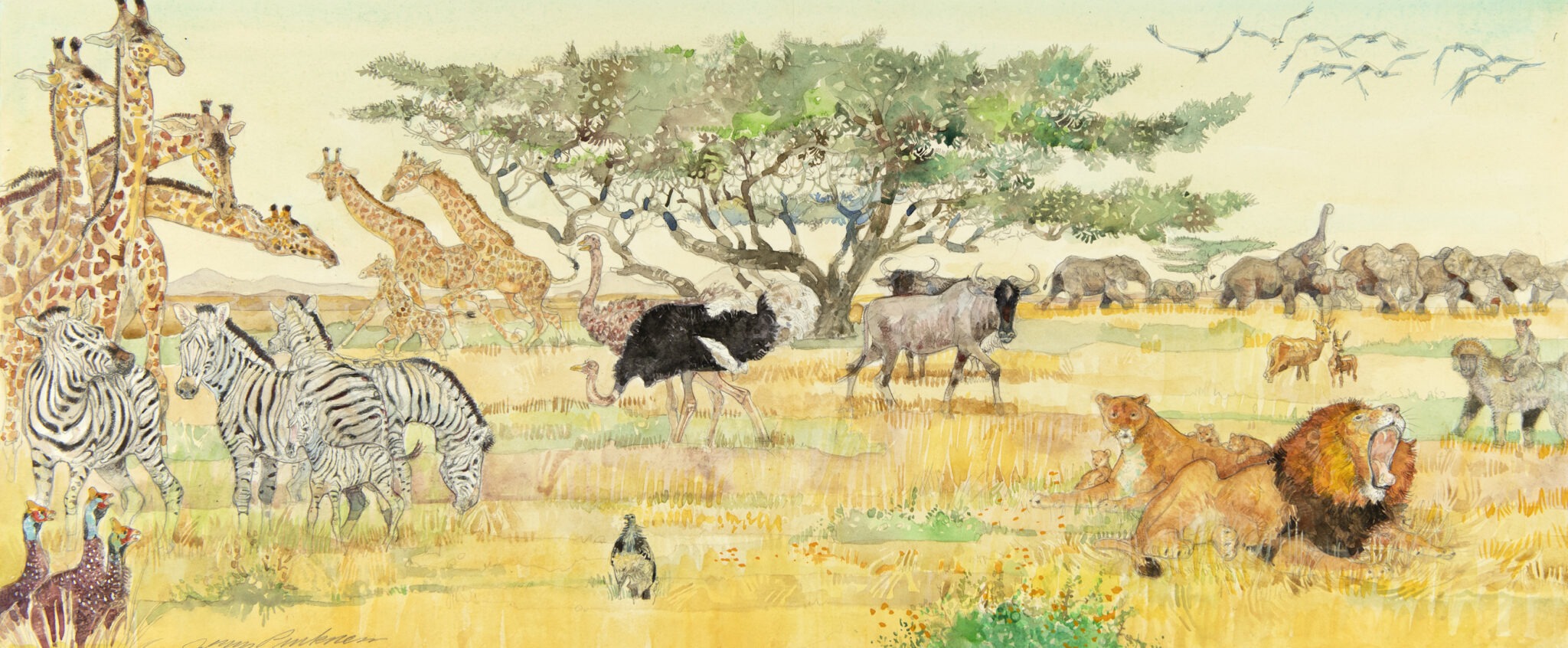 The Art of the Endpapers at the Eric Carle Museum!